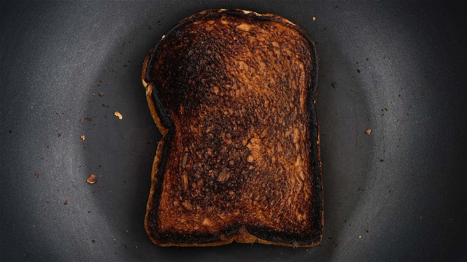 Stories of a Dish offers belly laughs and food for thought - Sesaya ...